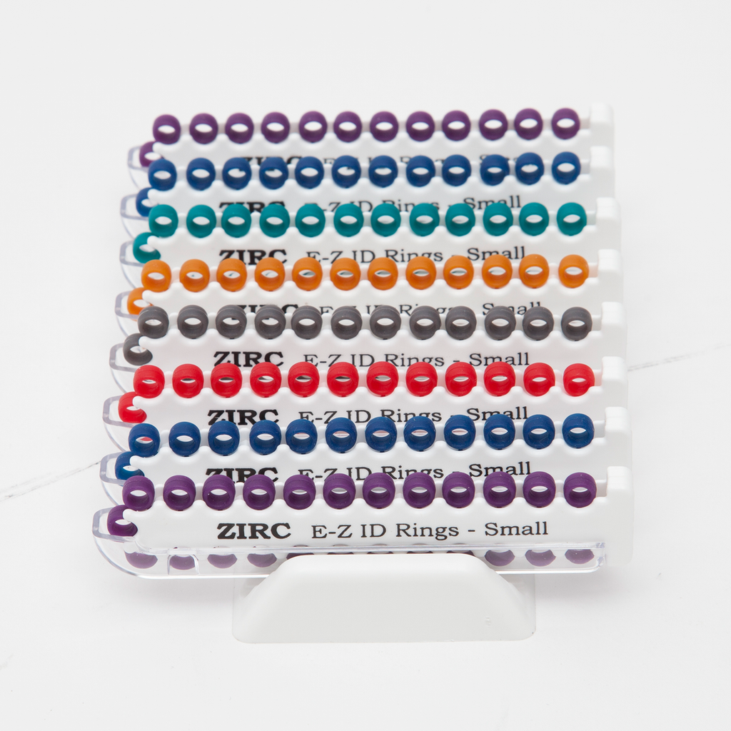 E-Z ID Rings System Small - Assorted Jewel | DuraPro Health